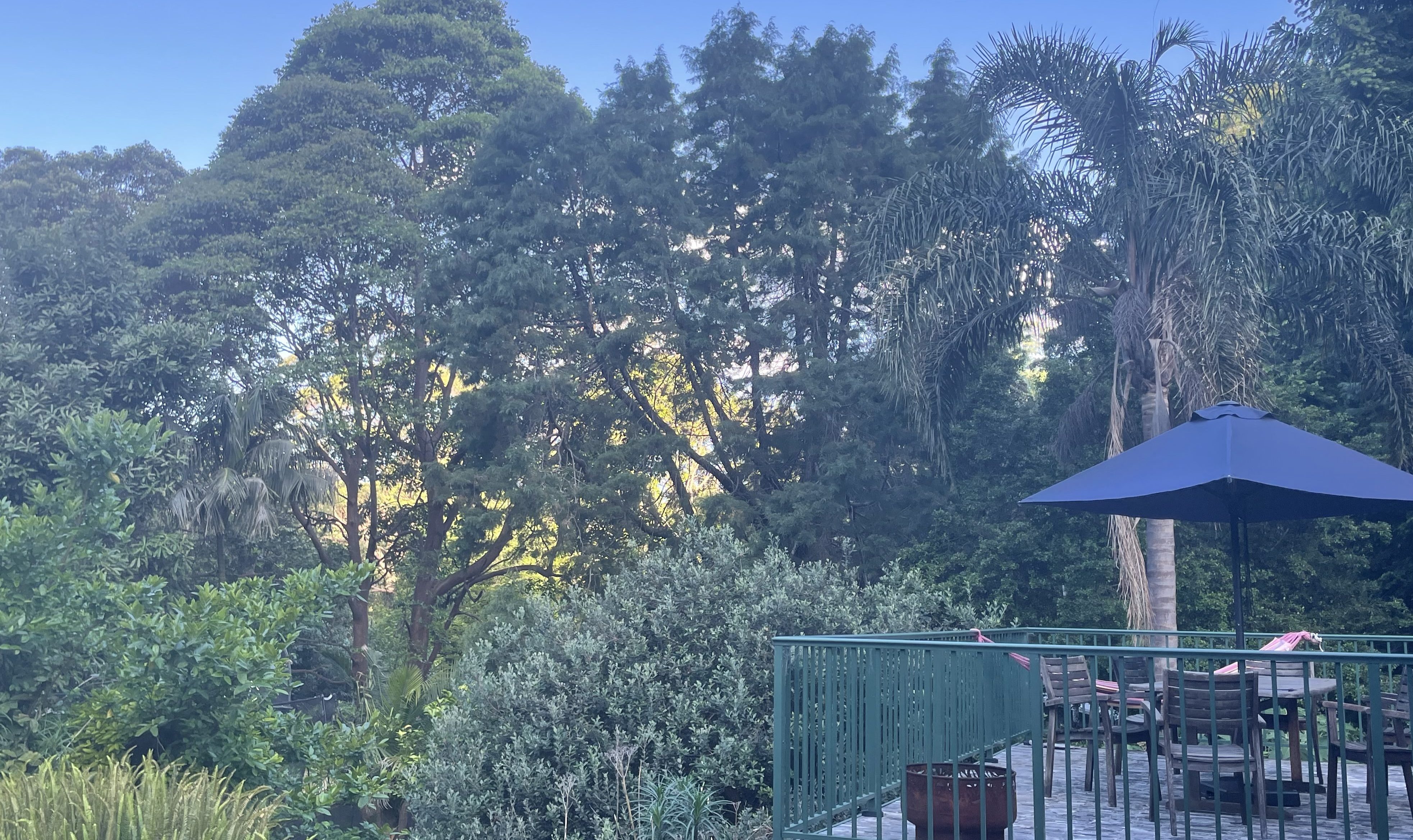 How to design housing for happiness - Erin O'Dwyer